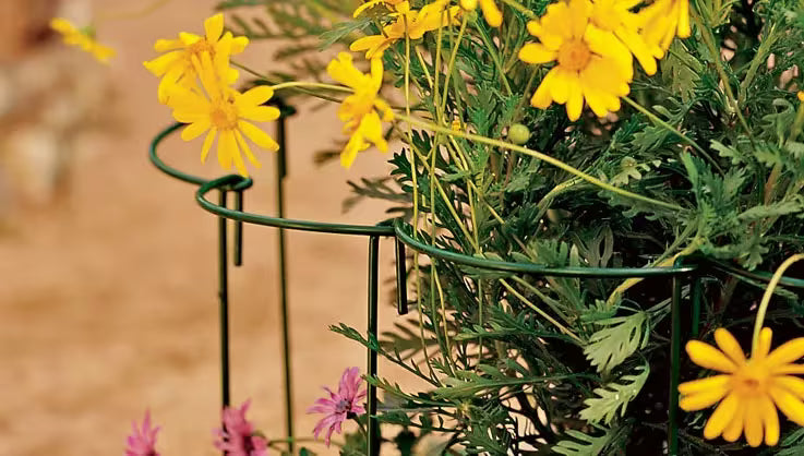 How to Choose Flower Supports | Gardener's Supply