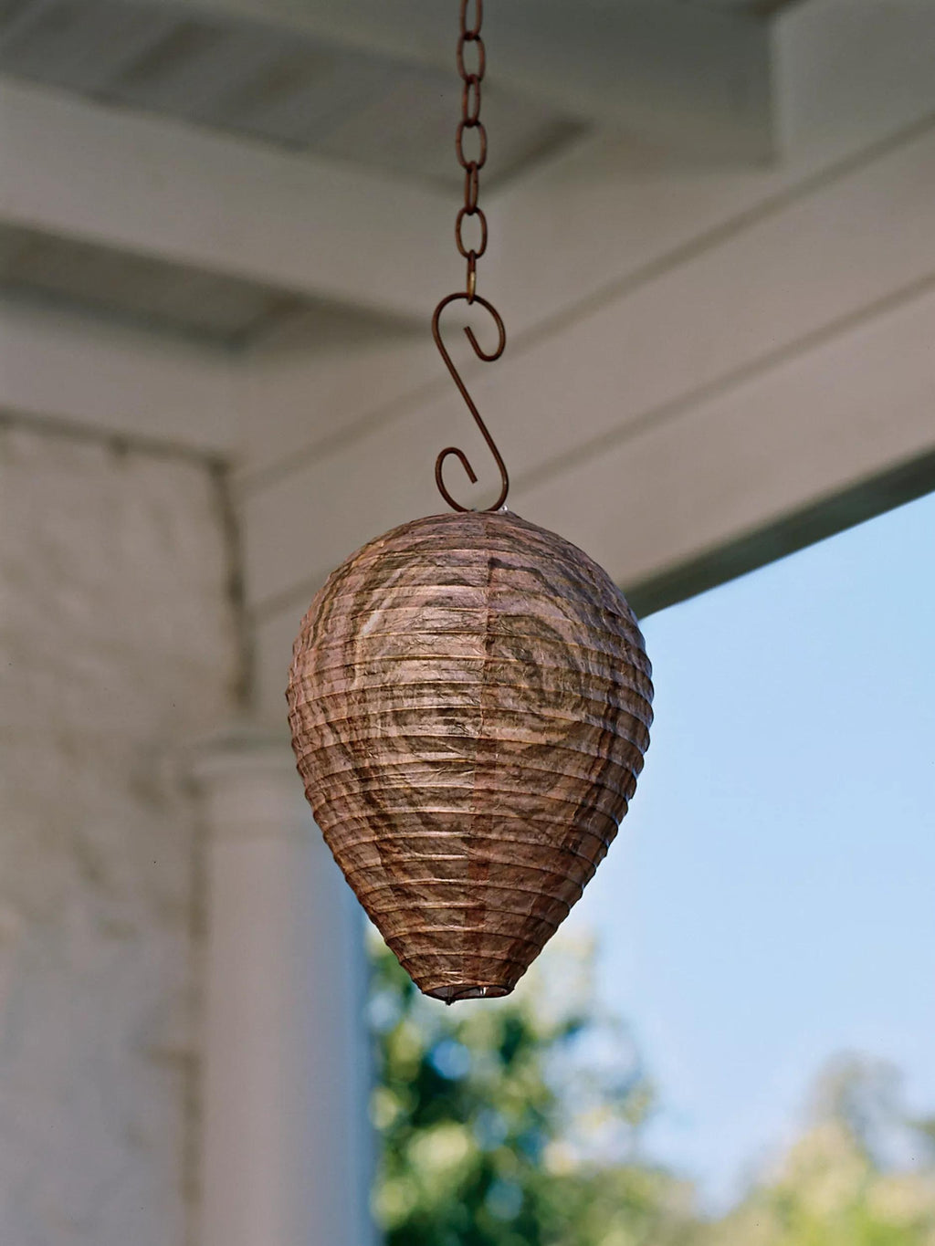 Wasp Repellent - Fake Wasp Nest - Natural Wasp Deterrent | Gardener's ...