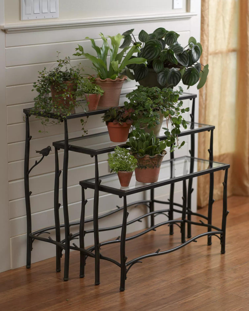 Nesting Plant Stands - Branch Plant Stands - Glass Nesting Tables ...