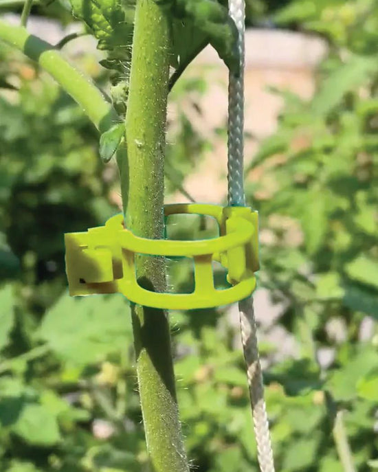 Plant Clips for the Garden, Set of 48 | Gardeners.com