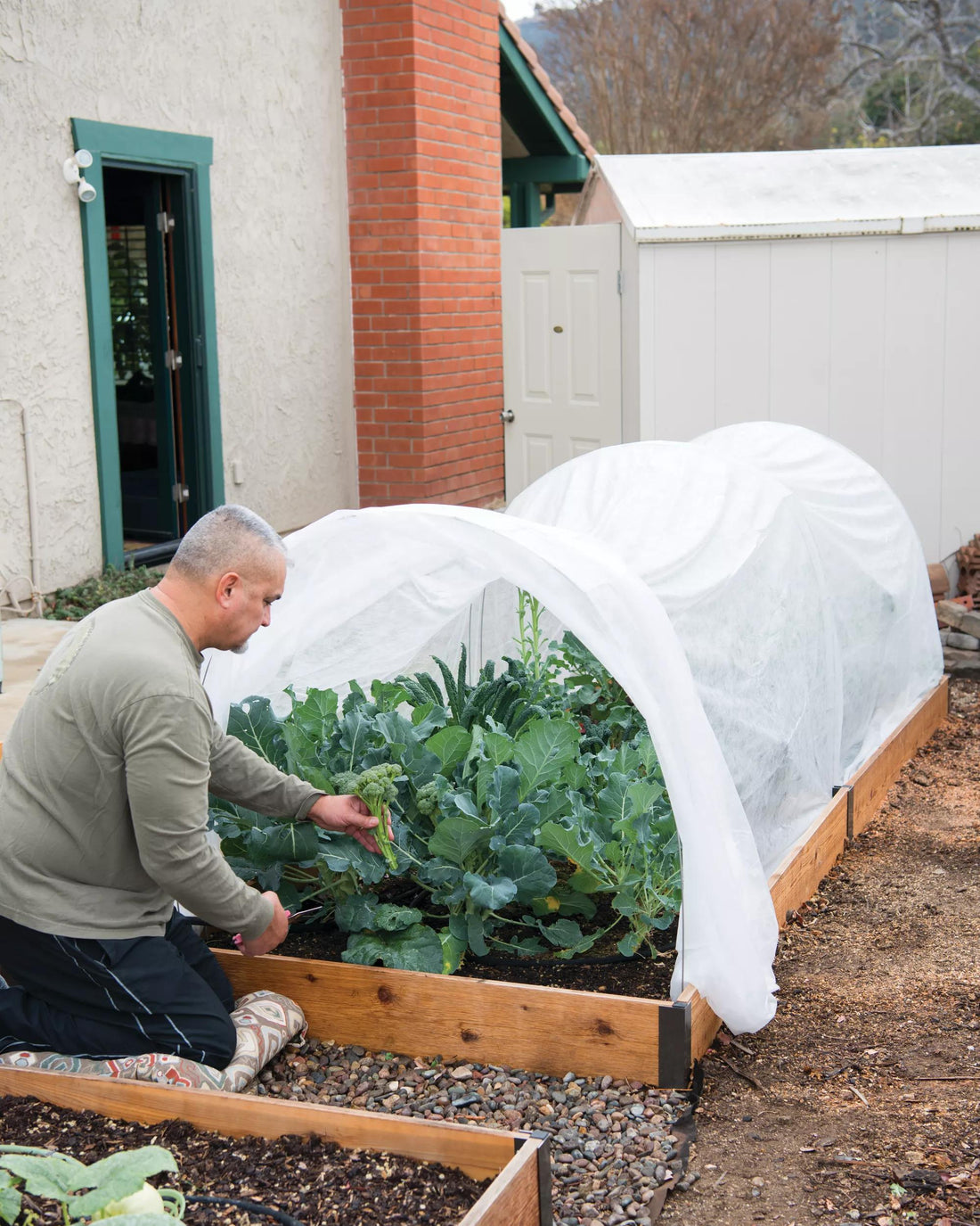 Plant Protectors & Row Covers | Gardener’s Supply Company