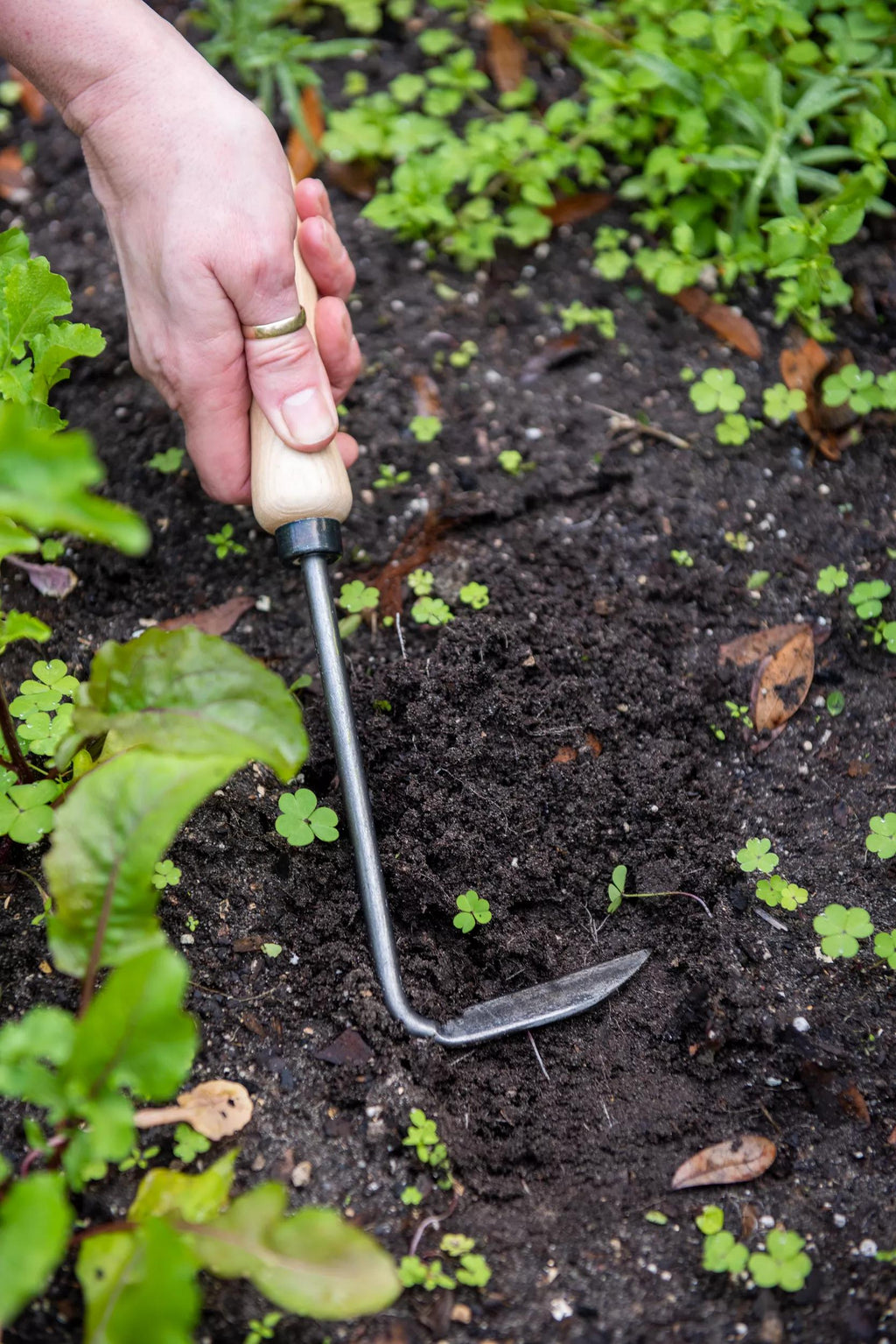 Lifetime Cape Cod Weeder Right Hand | Gardeners.com
