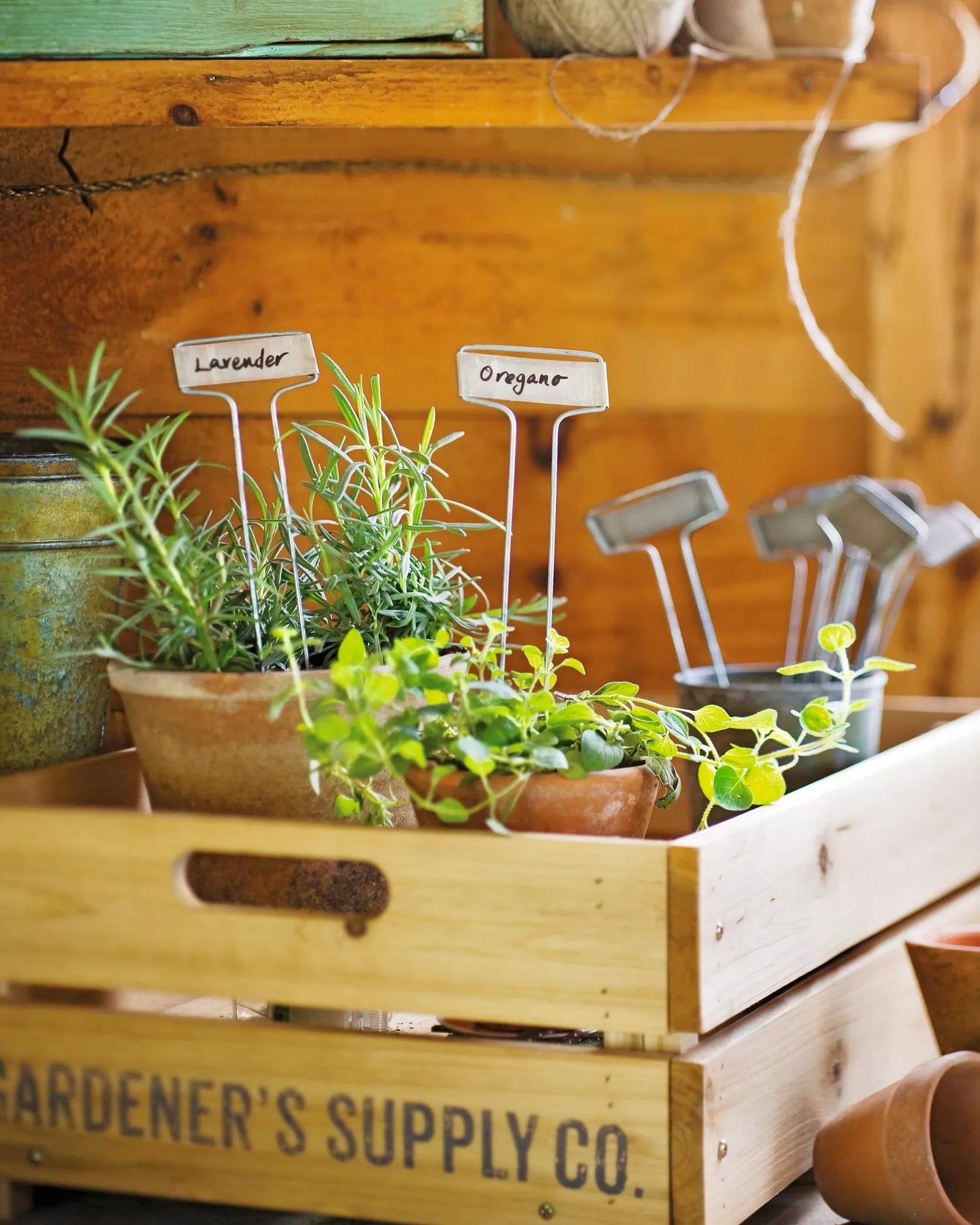 Plant Markers: Galvanized Steel and Etched Zink | Gardeners.com
