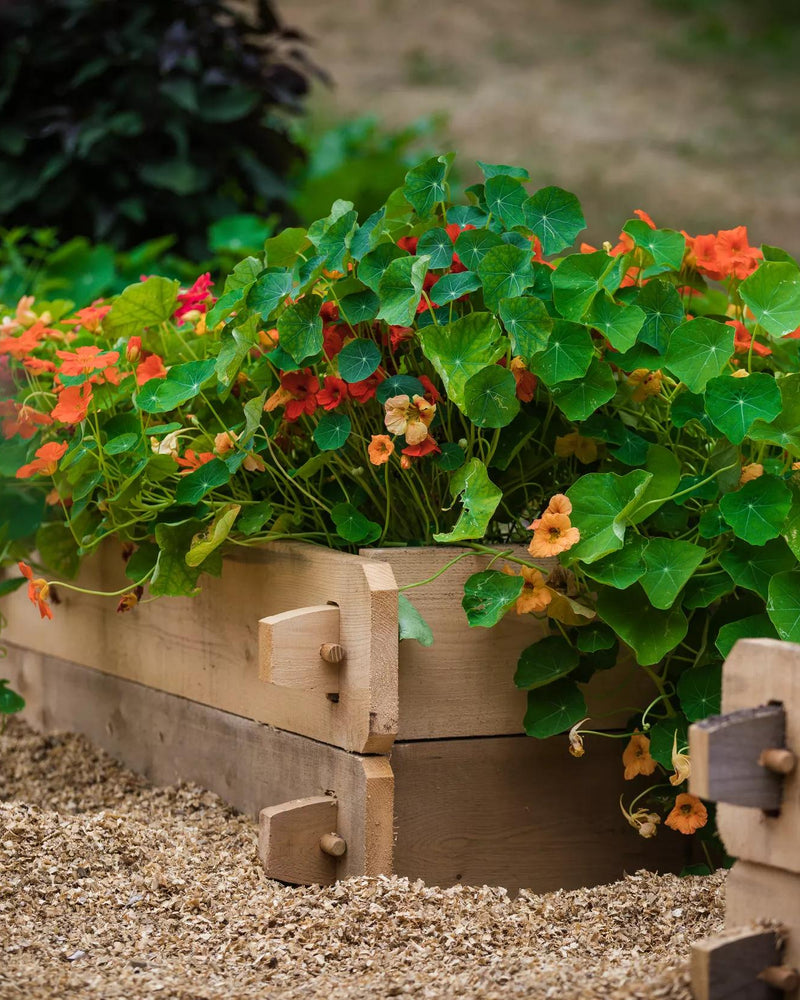 Farmstead Cedar Raised Garden Beds, 4' | Gardener's Supply.