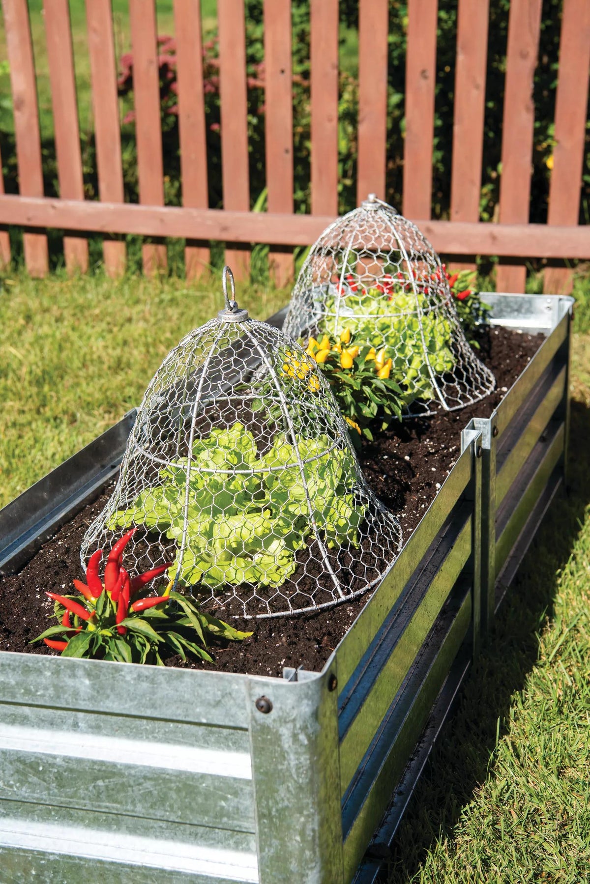 Wire Cloche Pest Barrier | Gardener's Supply