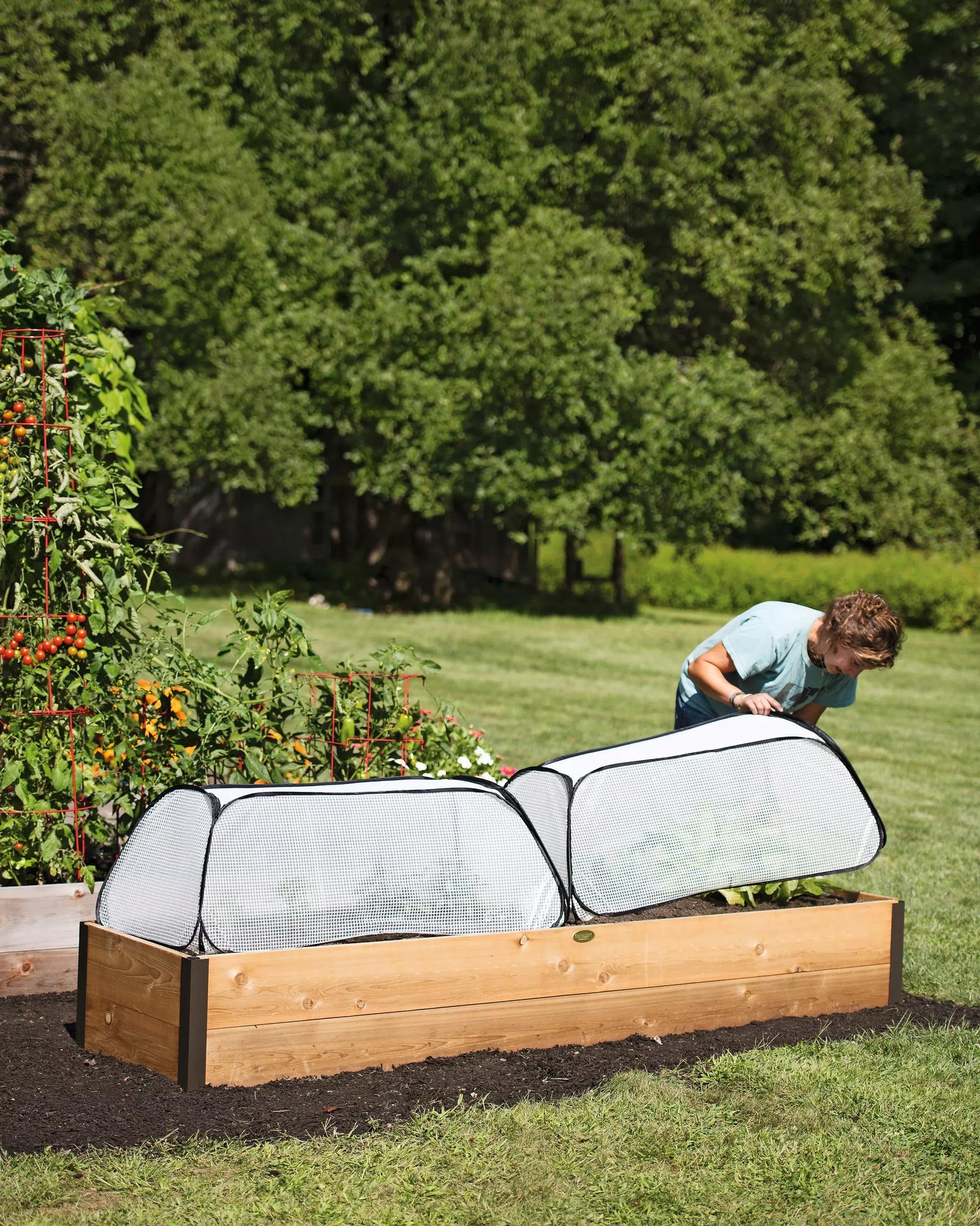 Plant Protectors & Row Covers | Gardener’s Supply Company