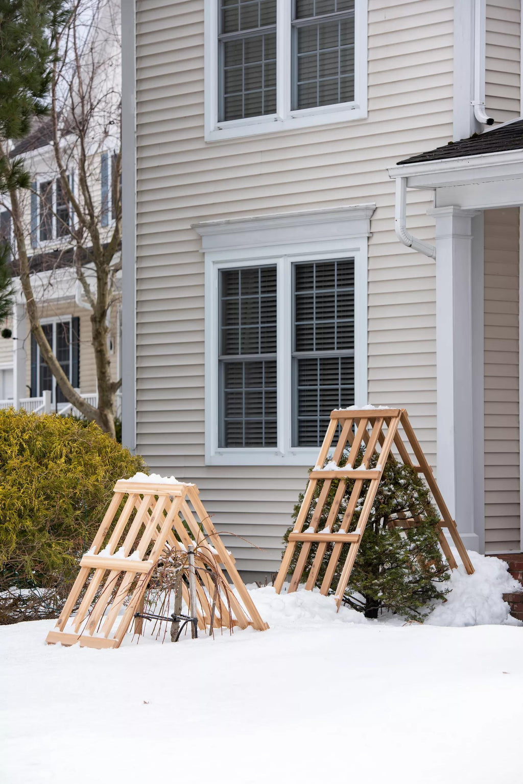 Cedar A-Frame Shrub Guards | Gardener's Supply
