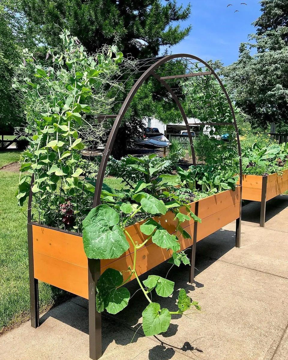 Arch Trellises | Gardener's Supply