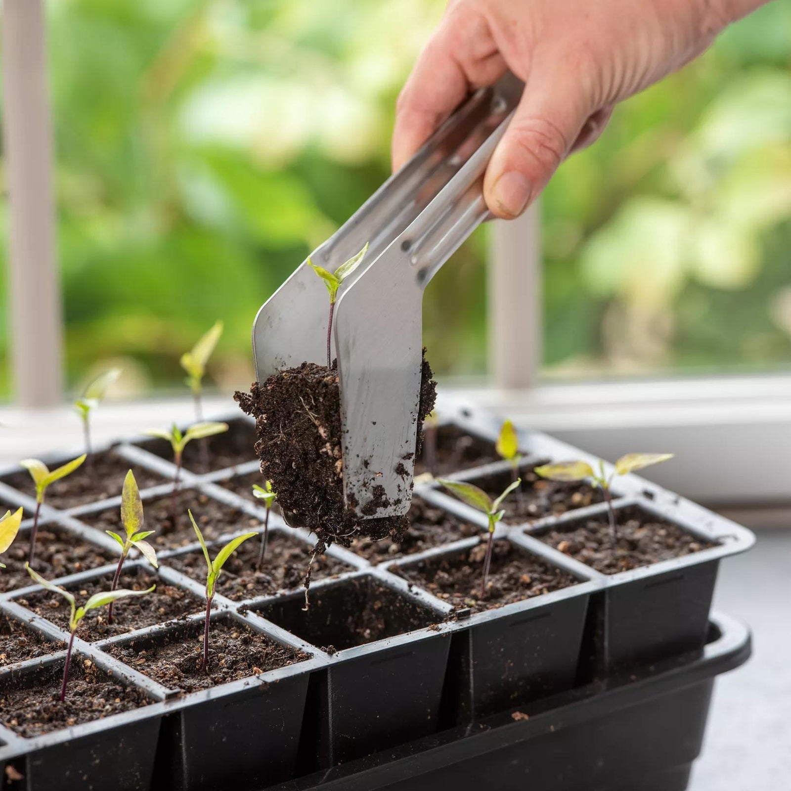 Seed Starting Trays, Kits & Supplies | Gardener's Supply