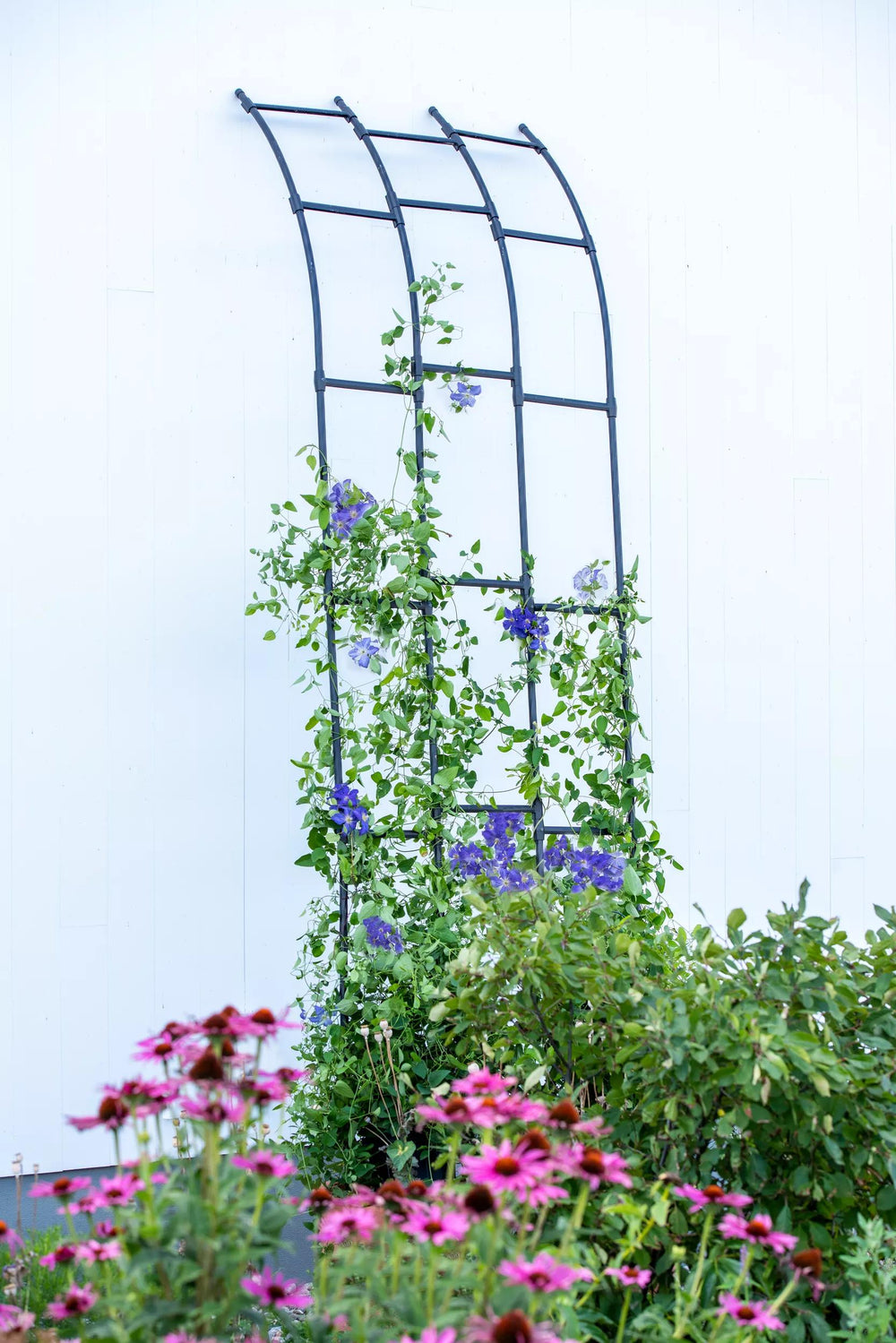 Titan Half Arch | Gardener's Supply