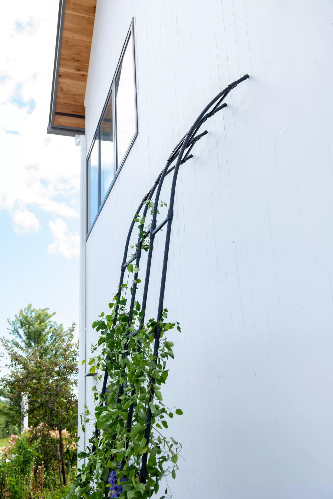 Titan Half Arch | Gardener's Supply