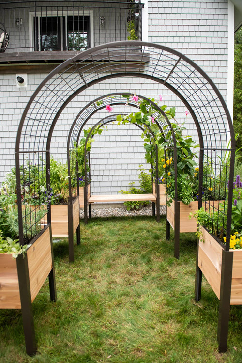 2' x 4' Arch Trellis for Planter Boxes | Gardener's Supply