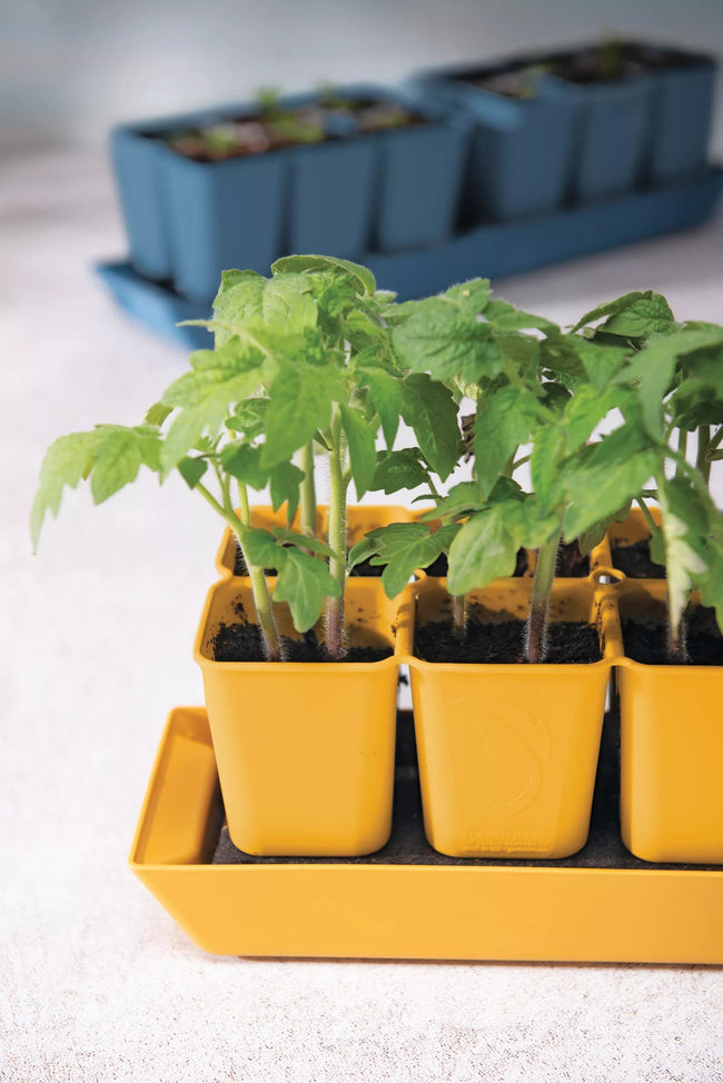 Gardener's Best® XL Seed Starting Kit | Gardener's Supply