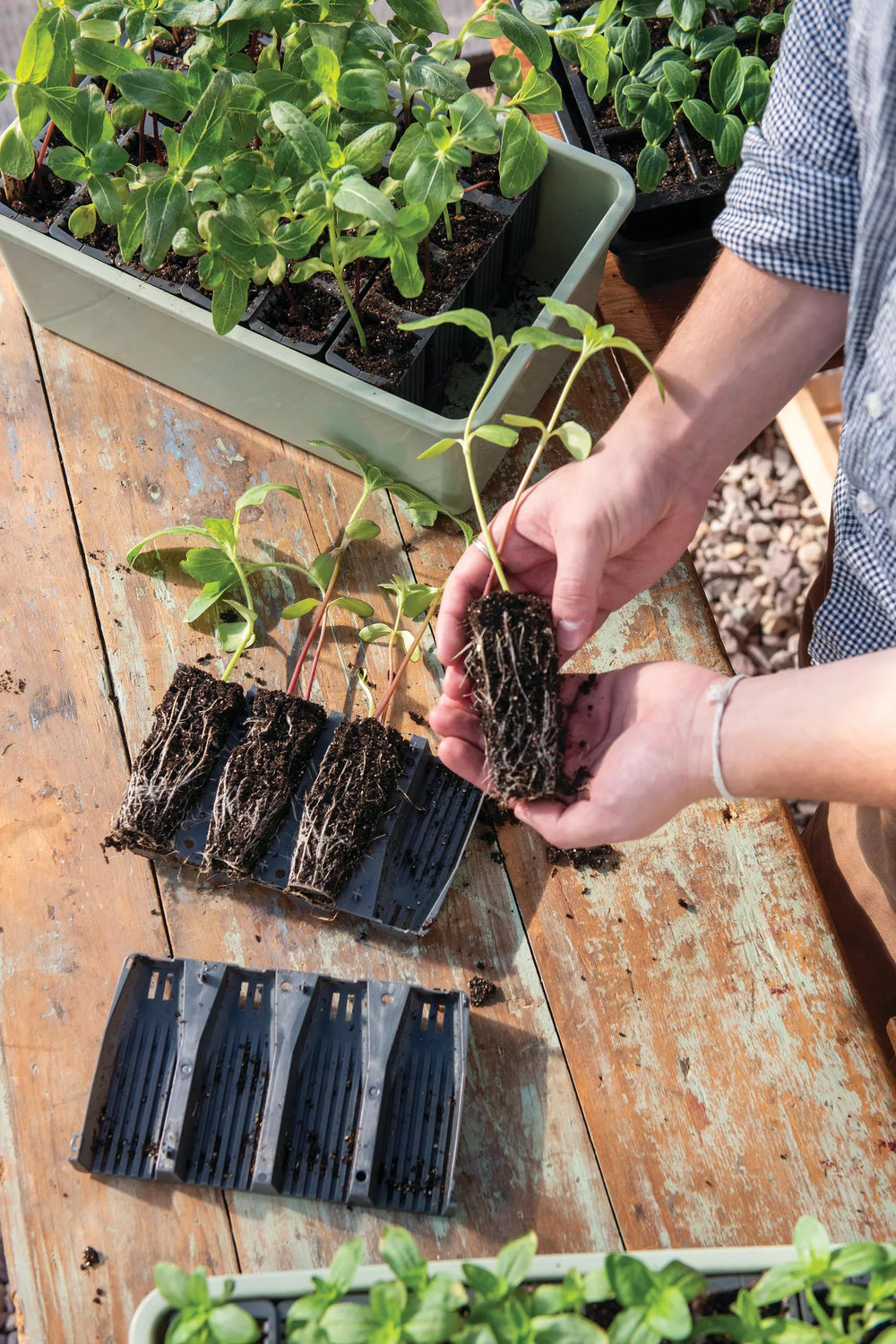 Deep Root Success Kit | Gardener's Supply