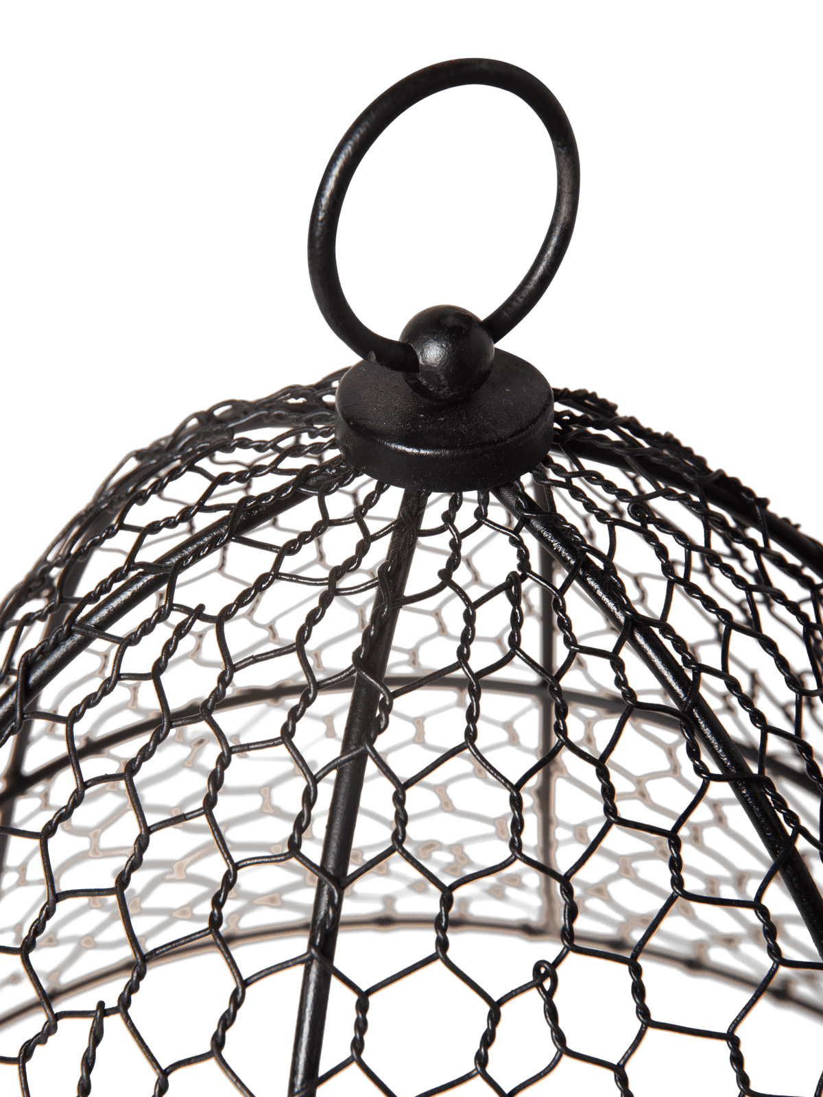 Wire Cloche Pest Barrier | Gardener's Supply