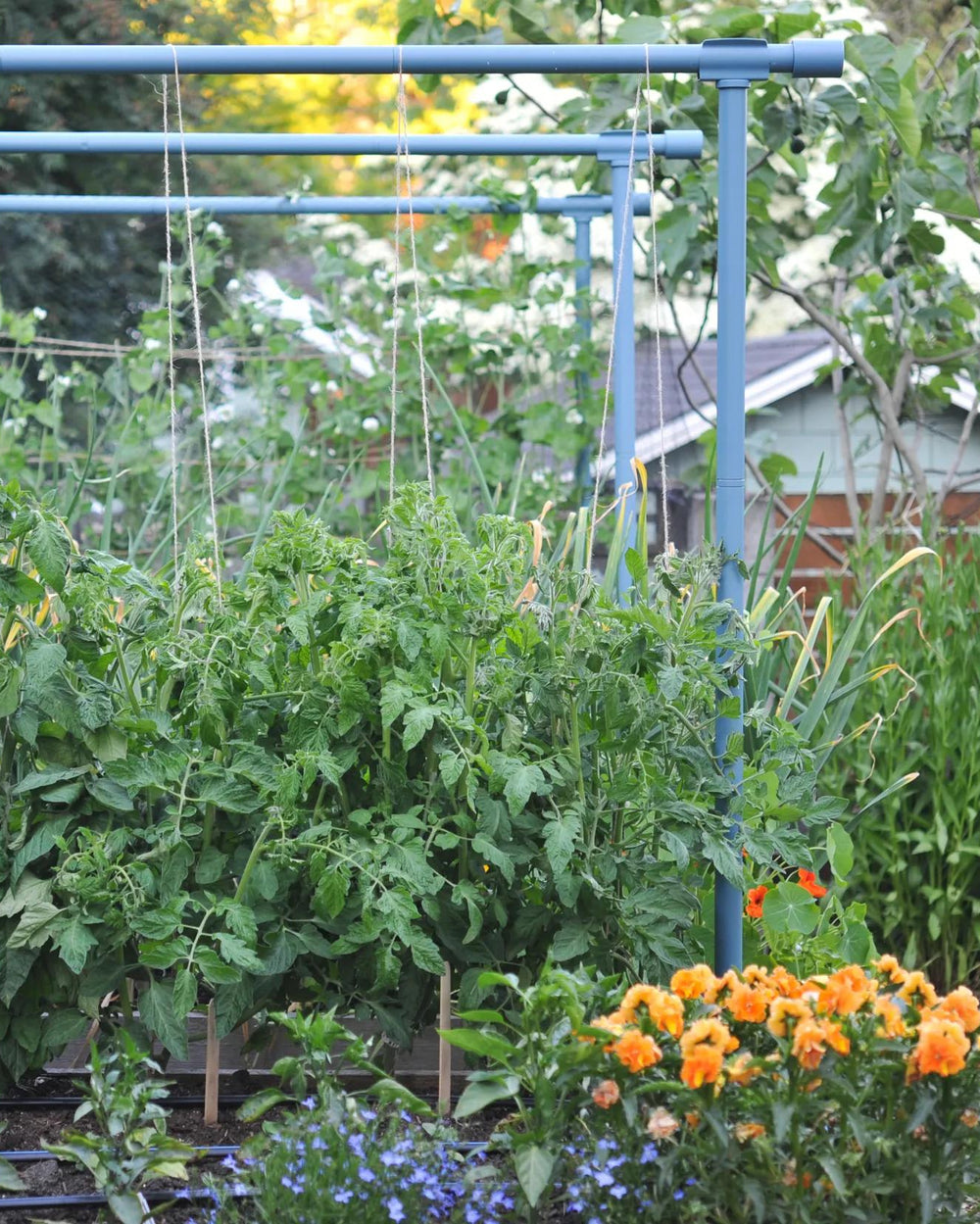 Freyr Garden Trellis | Gardener's Supply.