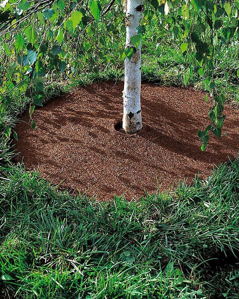 36" Coco Fiber Tree Rings, set of 2 | Gardener's Supply.
