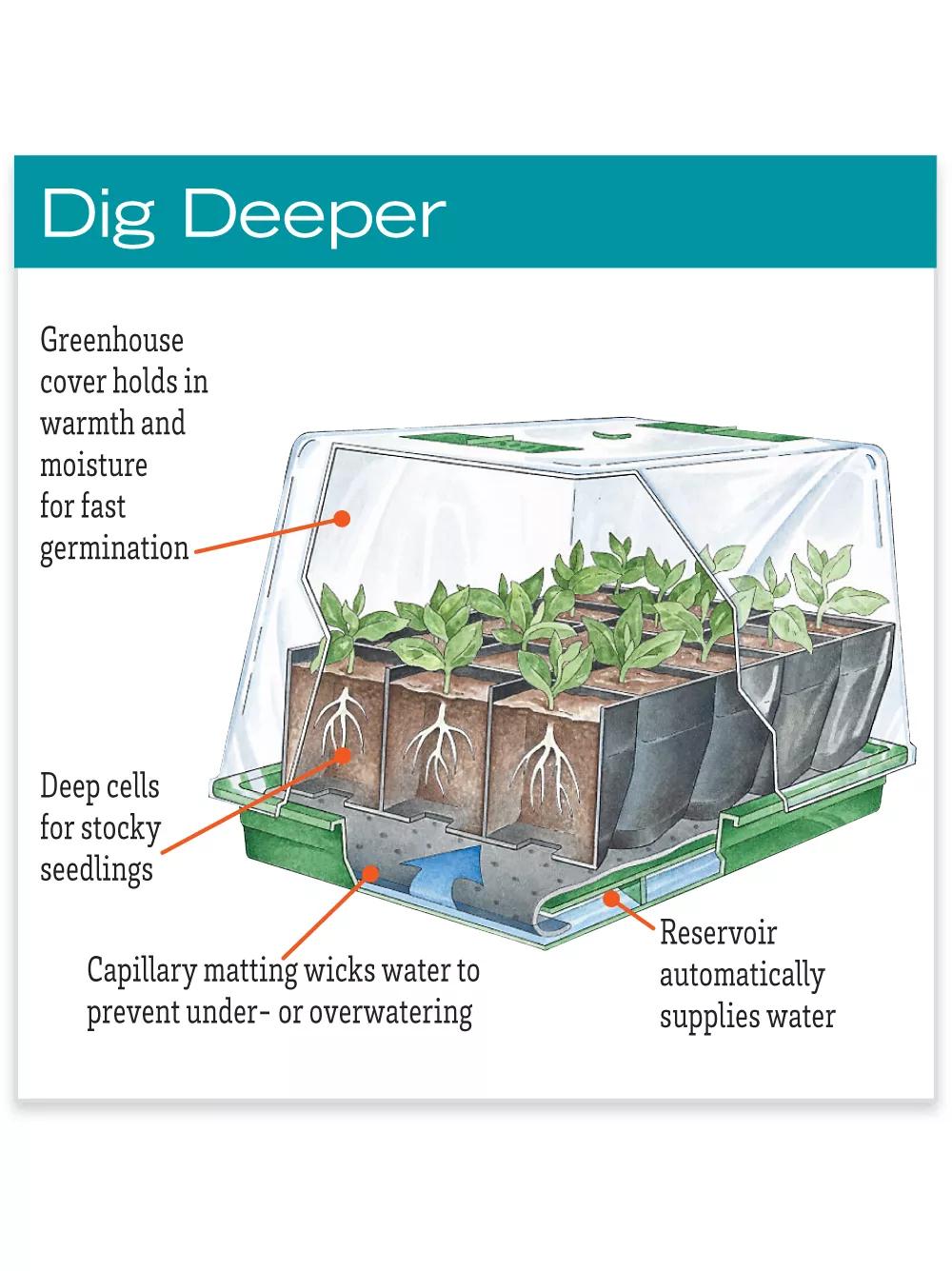 Deep Root Seed Starting Kit | Gardeners.com